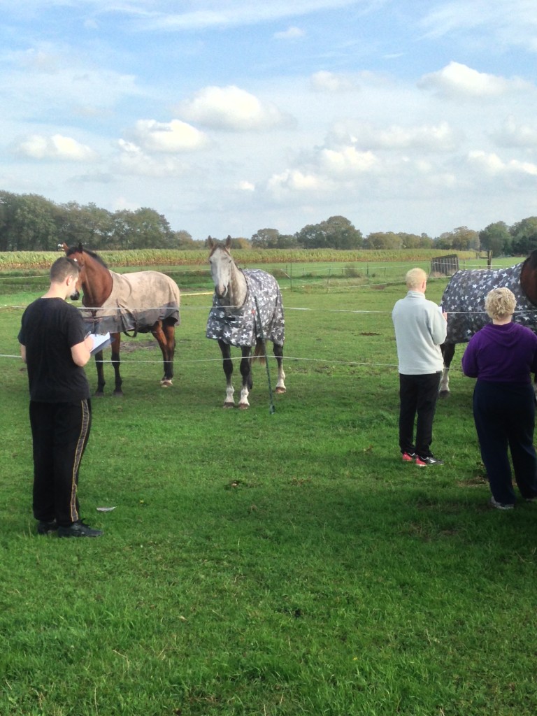 IMG_0235 - Farasi-Rafiki coaching